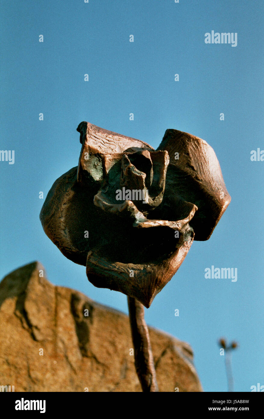 Bronzerose hi-res stock photography and images - Alamy