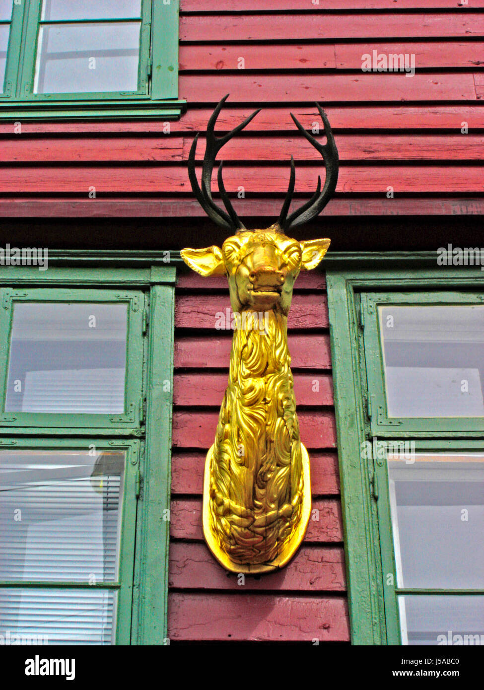 historical framehouse norway salvage horns gold im hafenviertel bryggen ...
