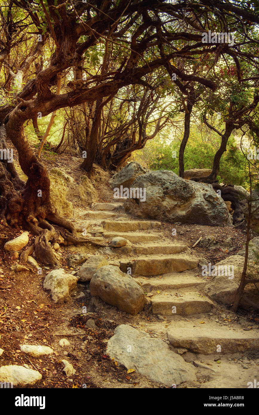 The Avakas canyon Stock Photo - Alamy