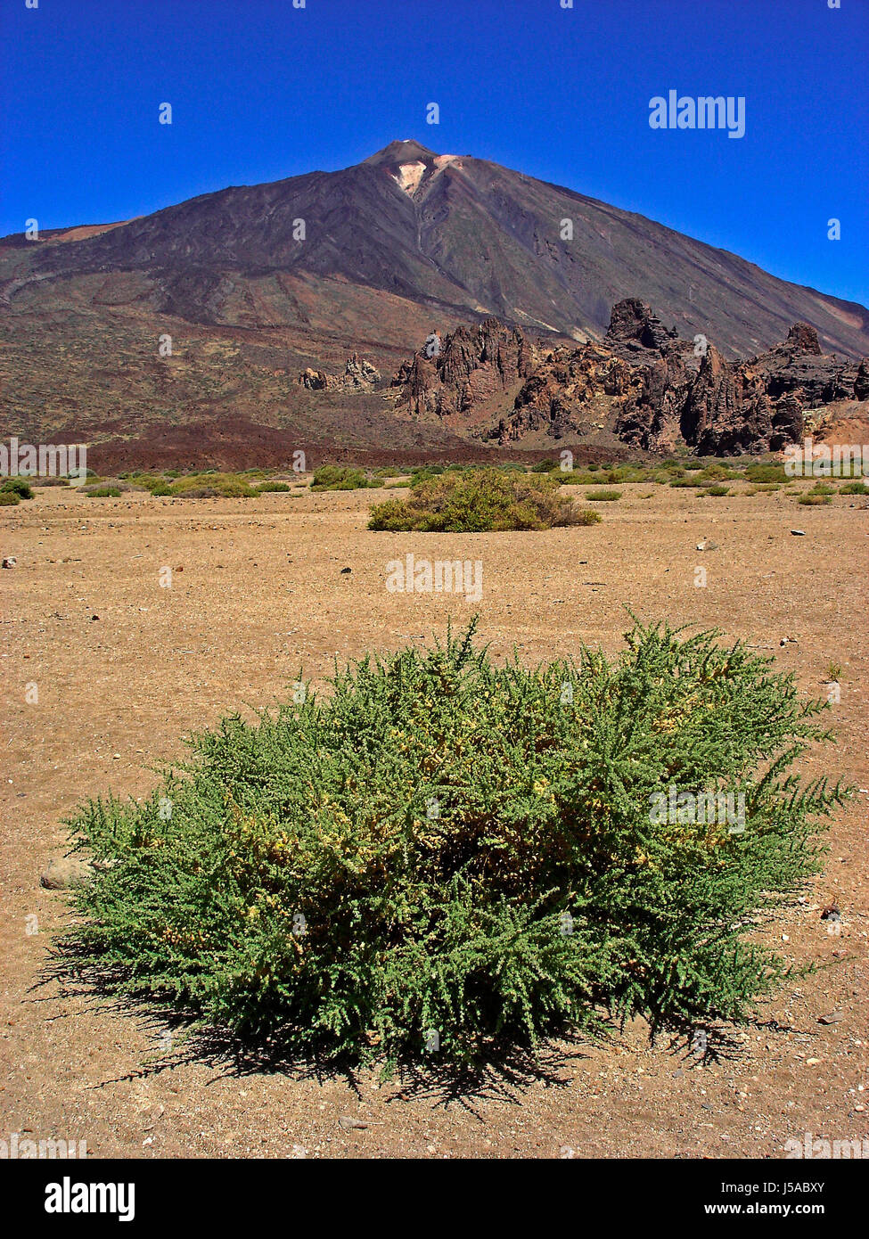 blue national park spain teneriffa vegetation volcanic firmament sky ...