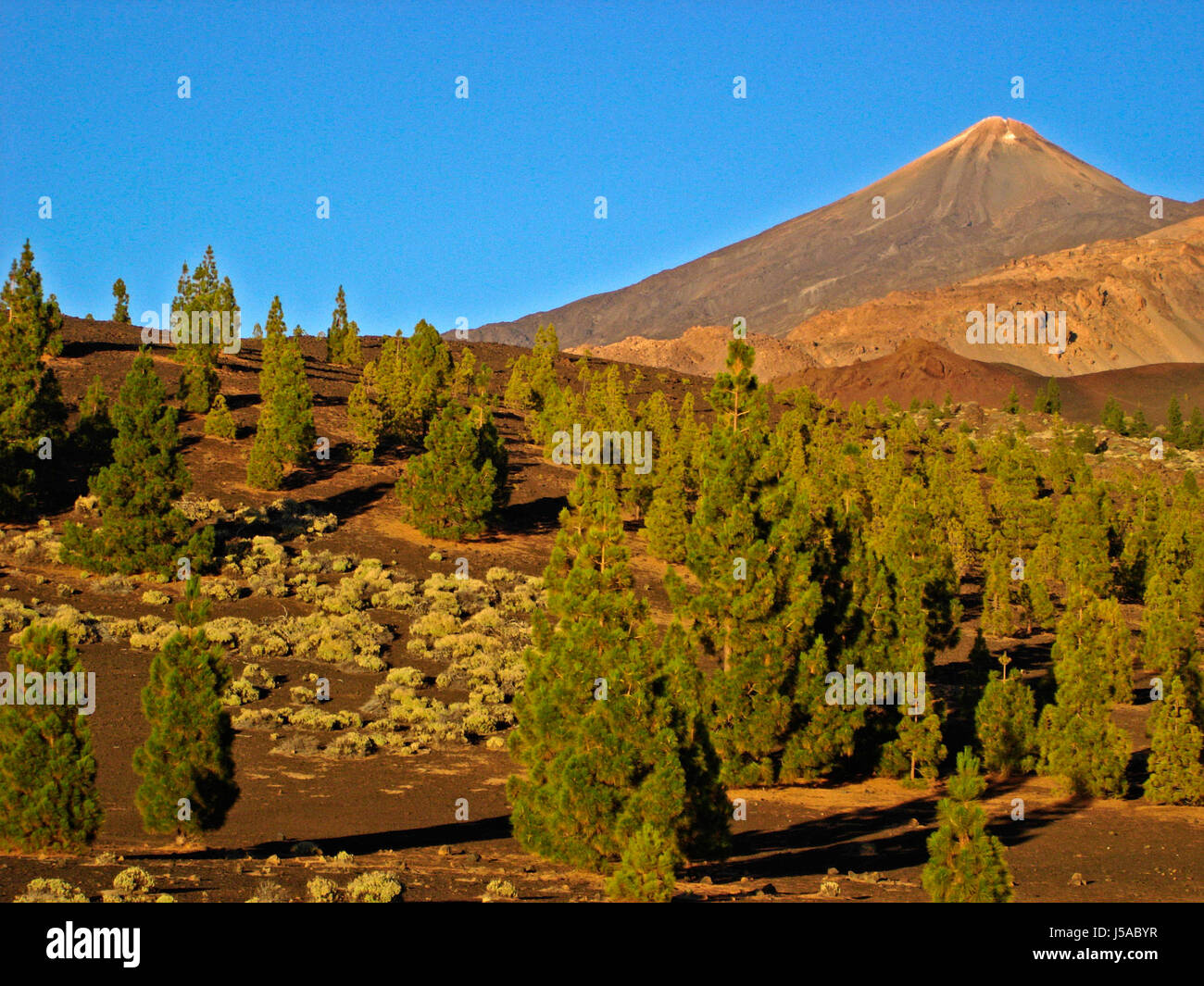 blue national park spain teneriffa vegetation volcanic firmament sky ...