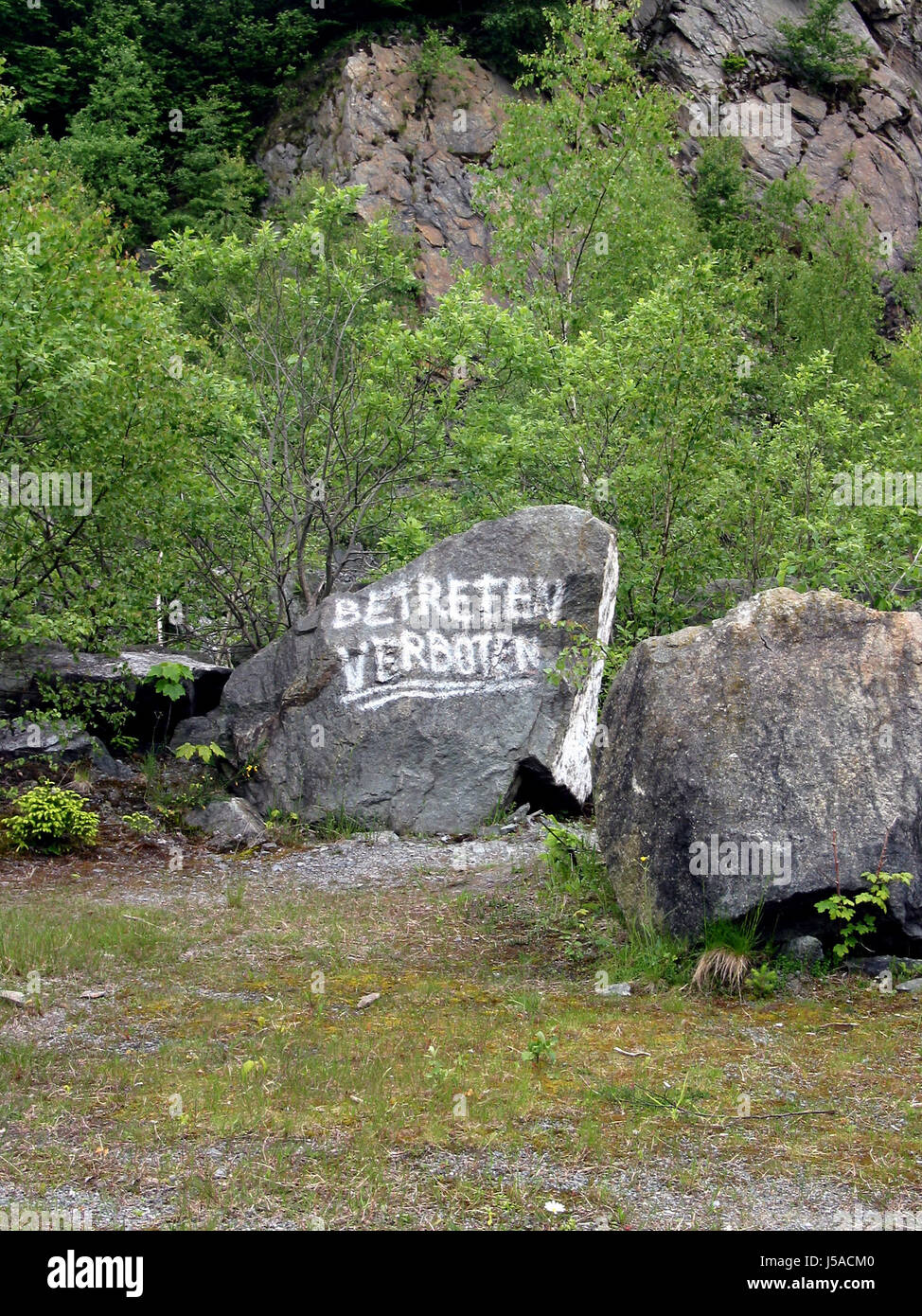 sign signal tree trees green rock bushes nature-sanctuary painting ...