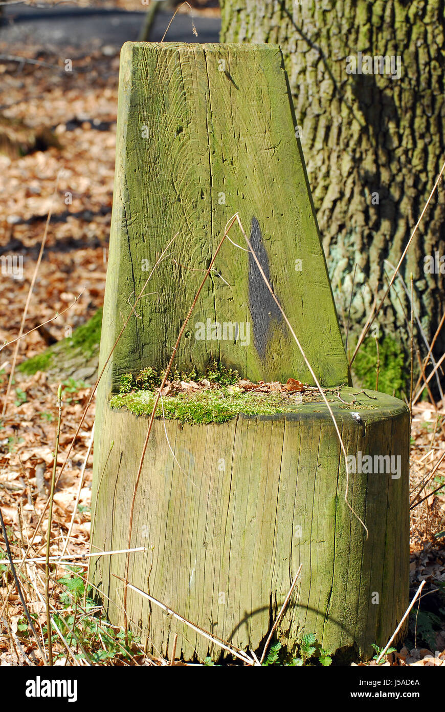 shine shines bright lucent light serene luminous wood radio silence ...