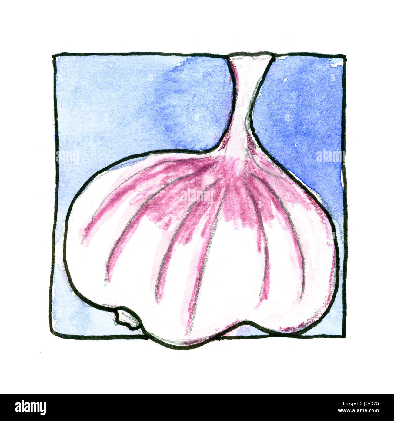 coloured colourful gorgeous multifarious richly coloured illustration ...
