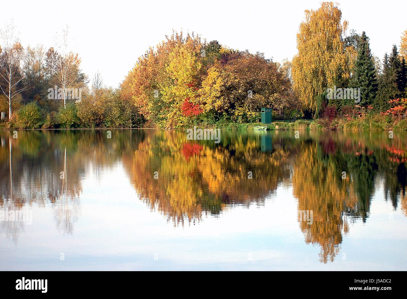 fish pond in autumn Stock Photo - Alamy