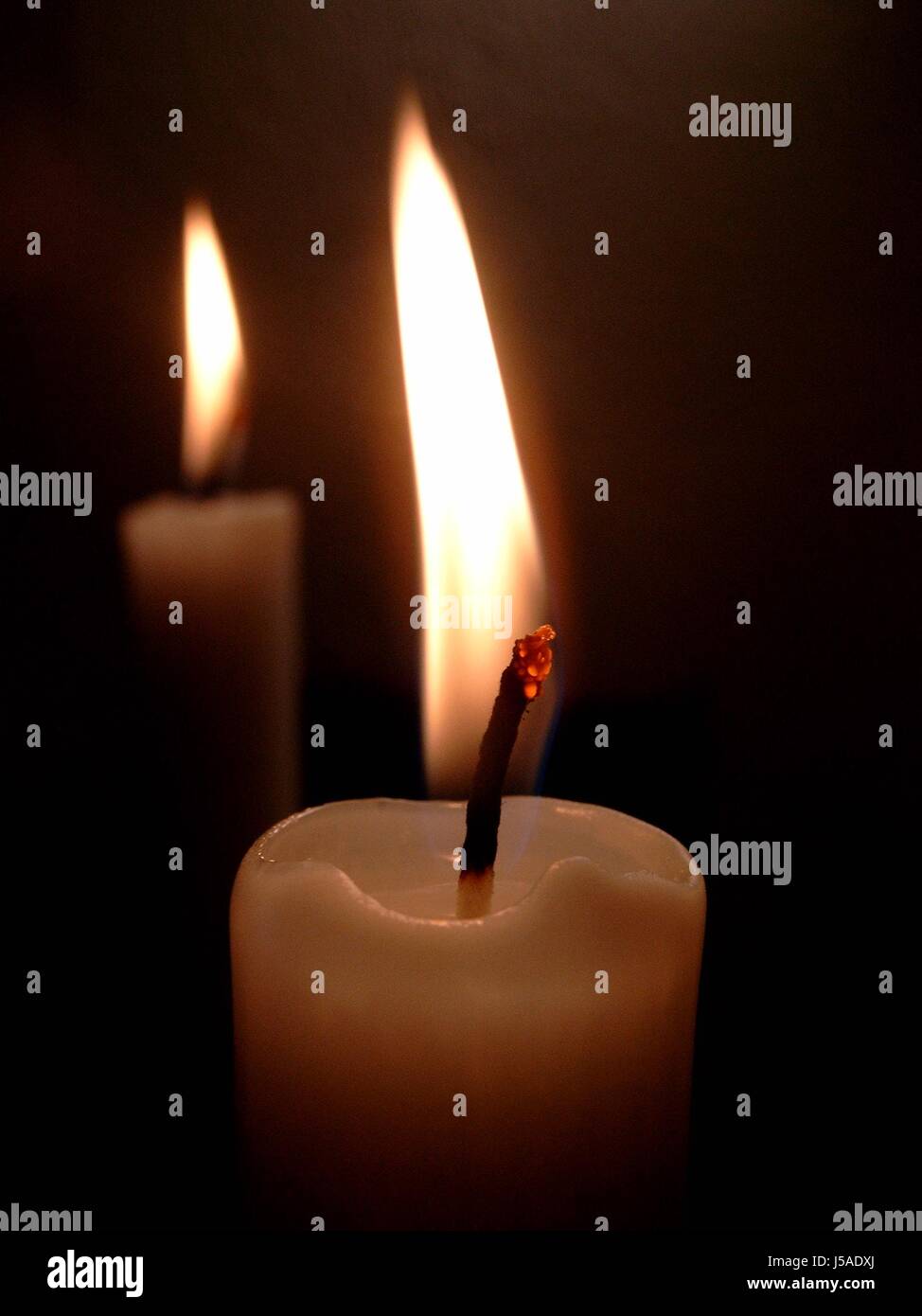 still life shine shines bright lucent light serene luminous remember ...