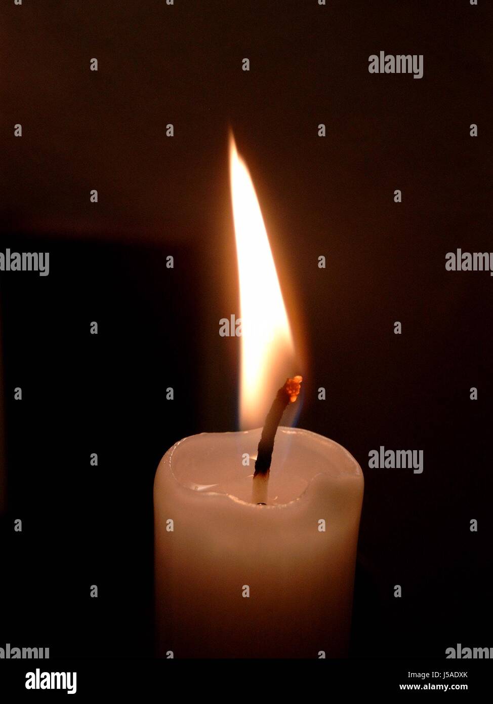 still life shine shines bright lucent light serene luminous remember ...