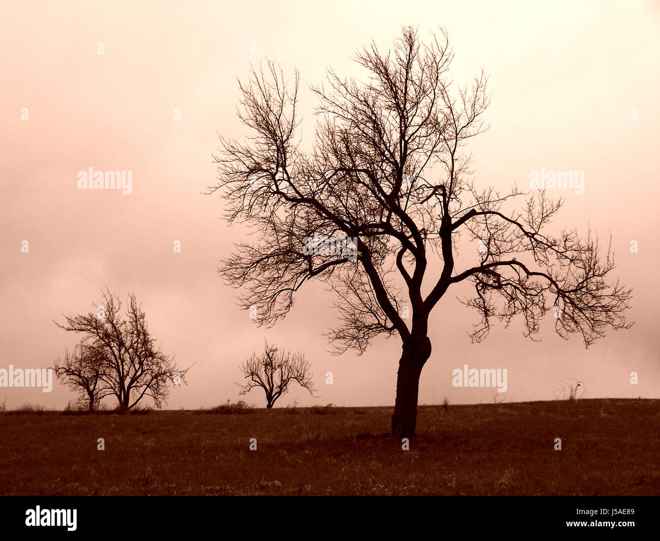 even without sun nicely Stock Photo - Alamy