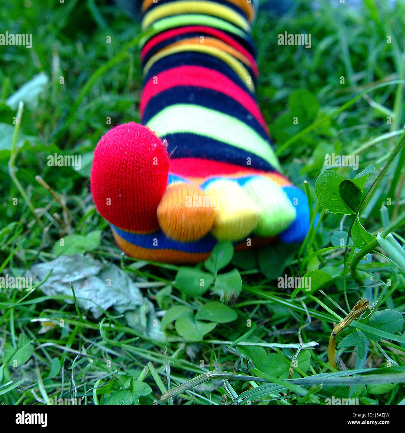 legs blue walk go going walking green playful coloured colourful ...