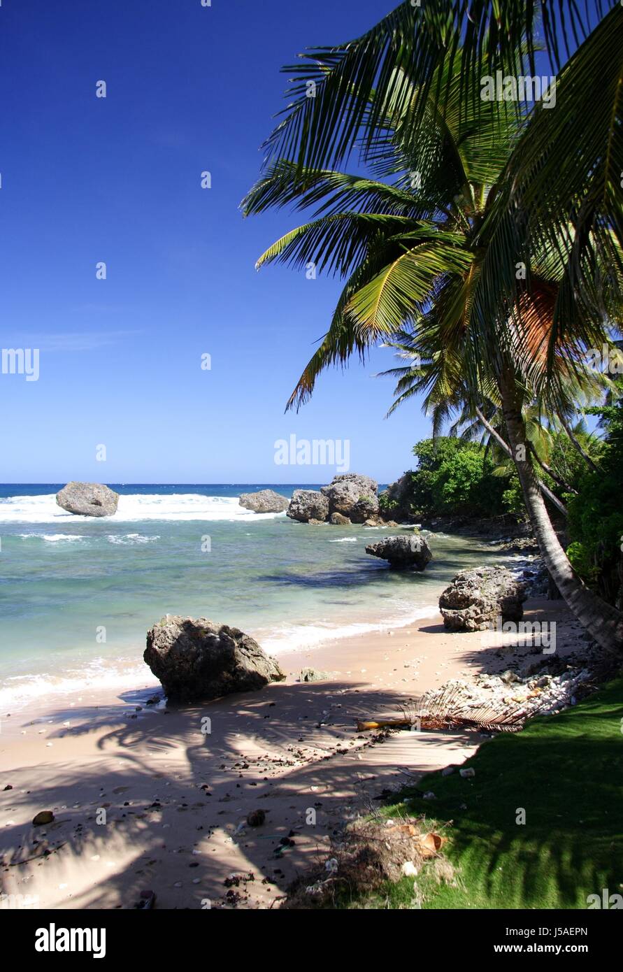 shadow on the beach Stock Photo - Alamy