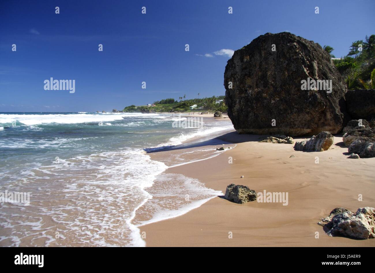 rock on the beach Stock Photo - Alamy