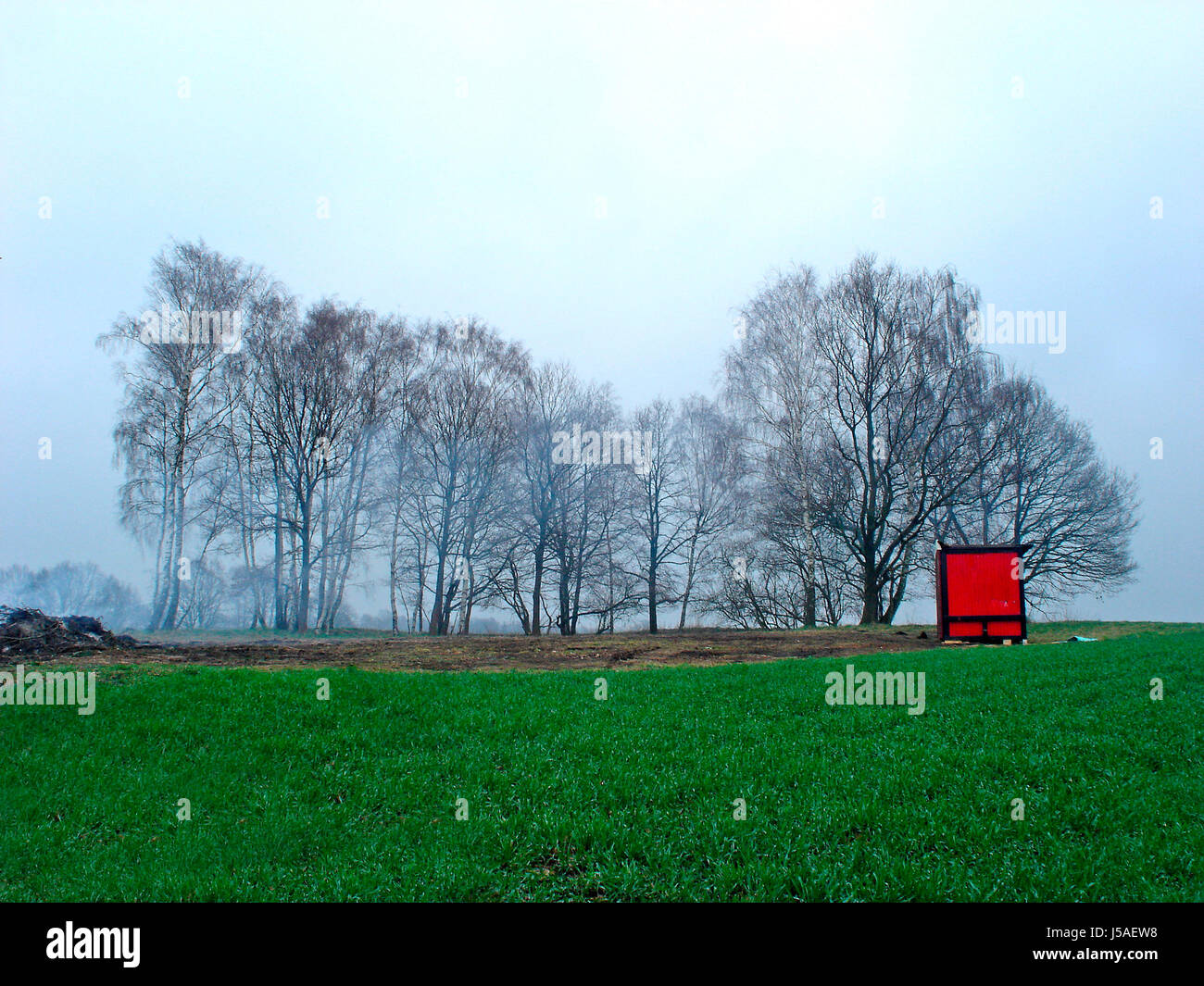 smoke smoking smokes fume tree trees green field acre capped germany ...
