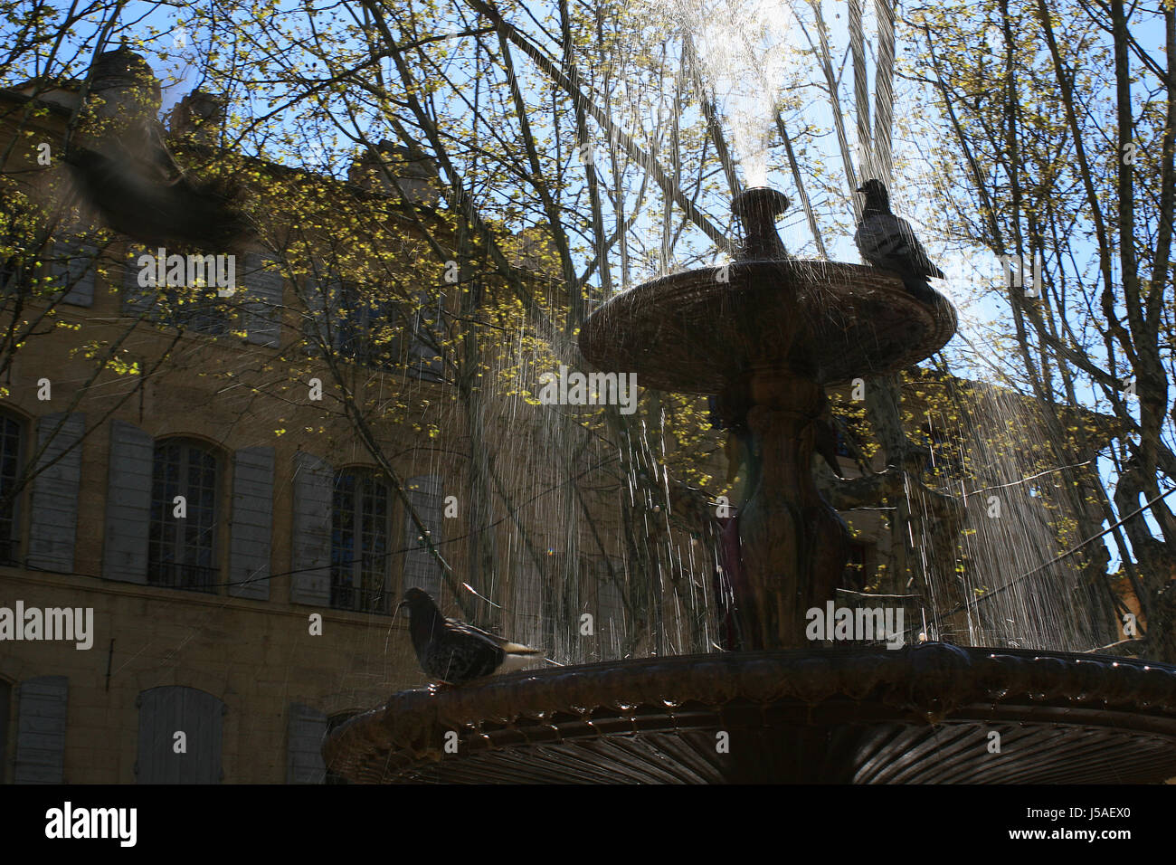 house building flight bird green window porthole dormer window pane ...