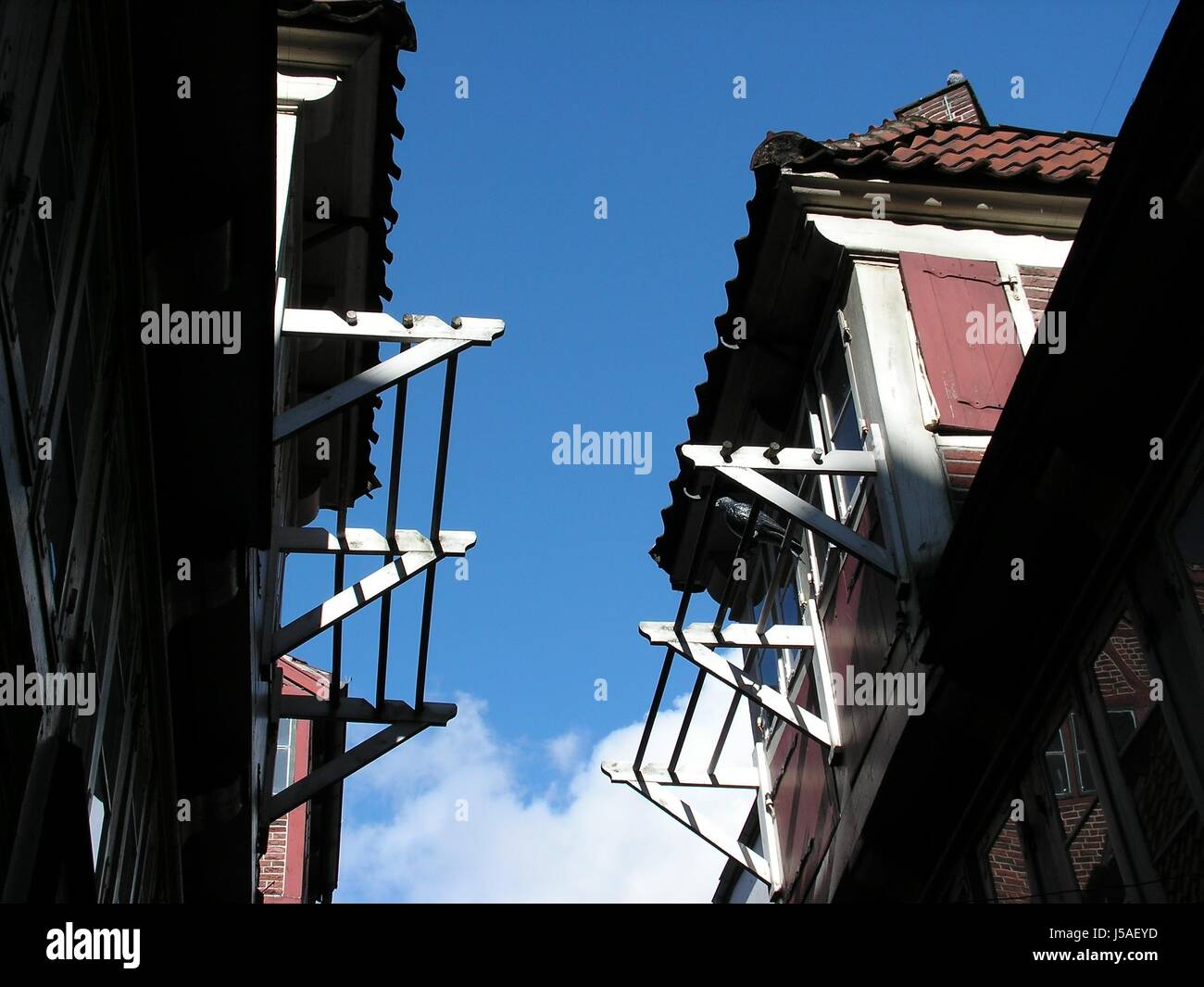 house building historical bird window porthole dormer window pane birds ...