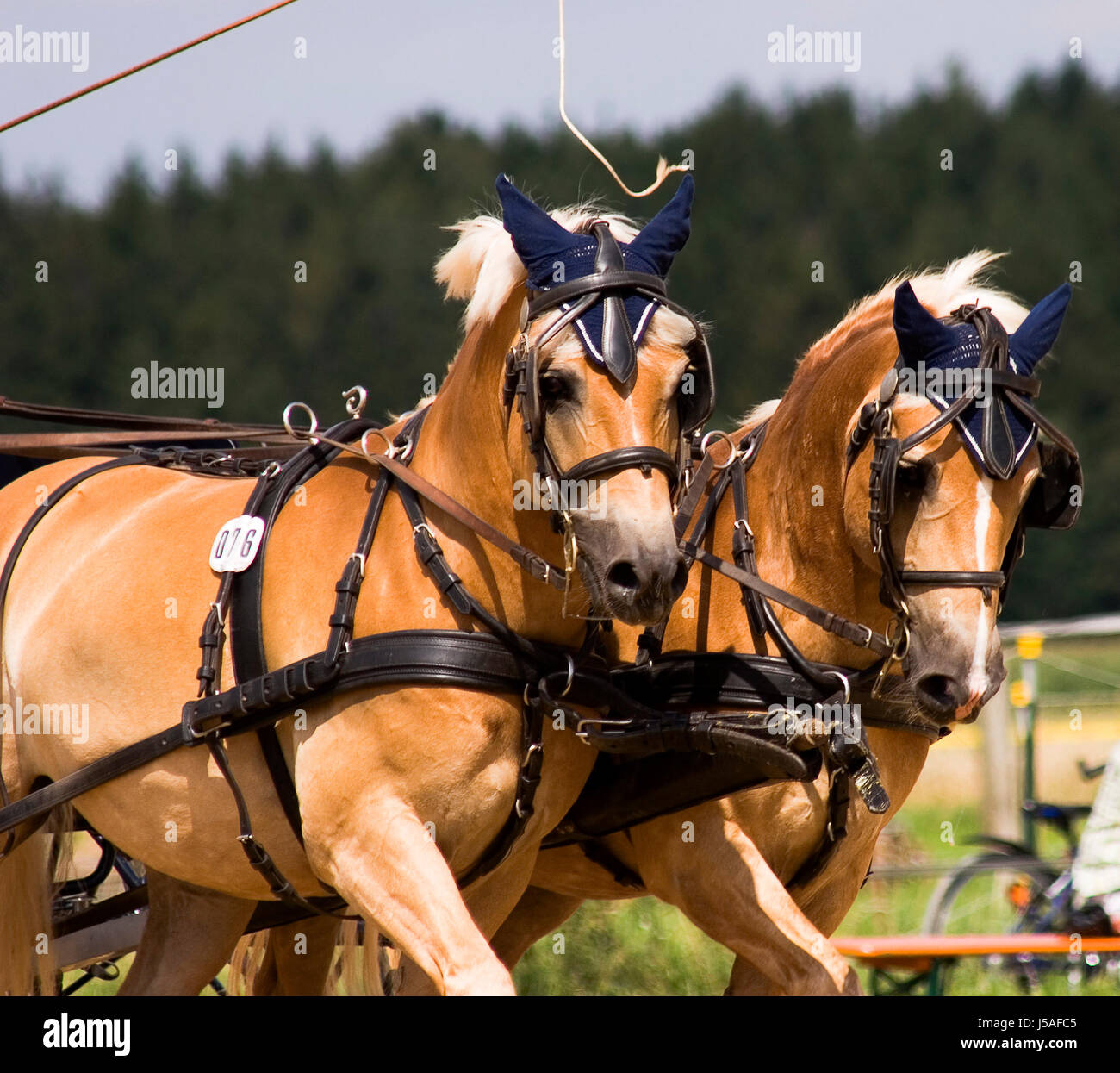 Oberbayerische meisterschaften hi-res stock photography and images - Alamy