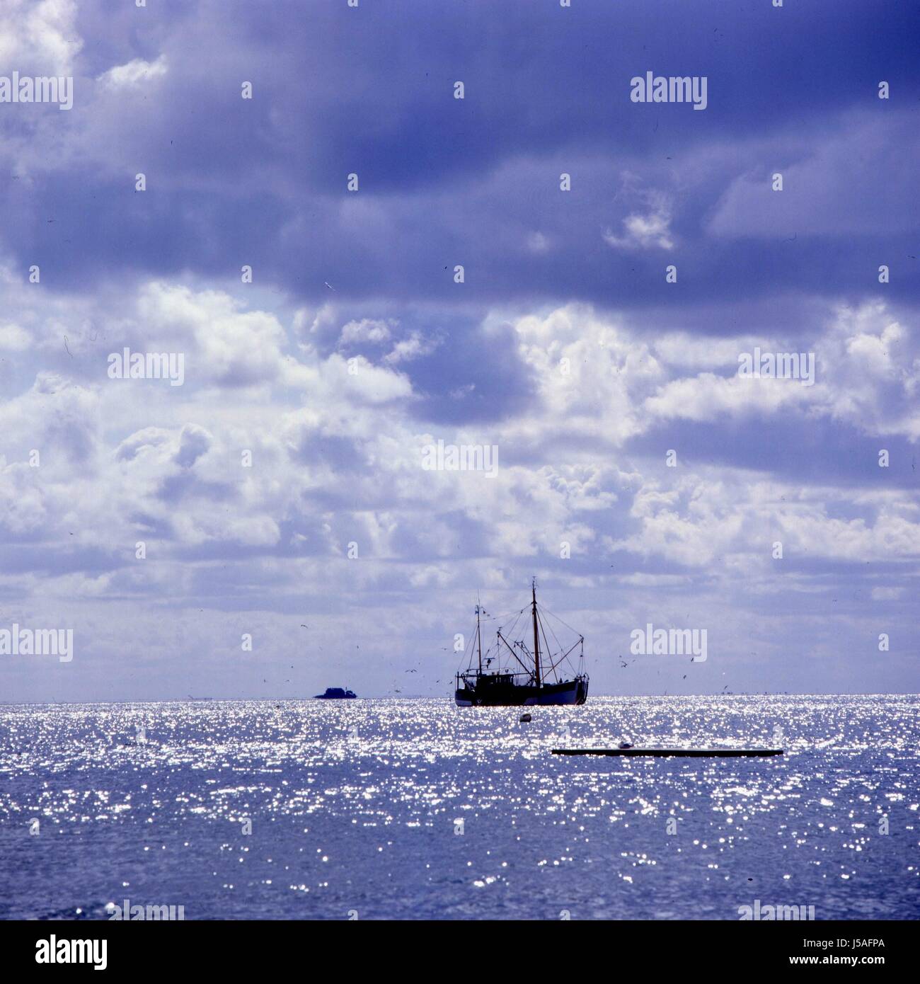 food aliment water north sea salt water sea ocean counter-light East ...