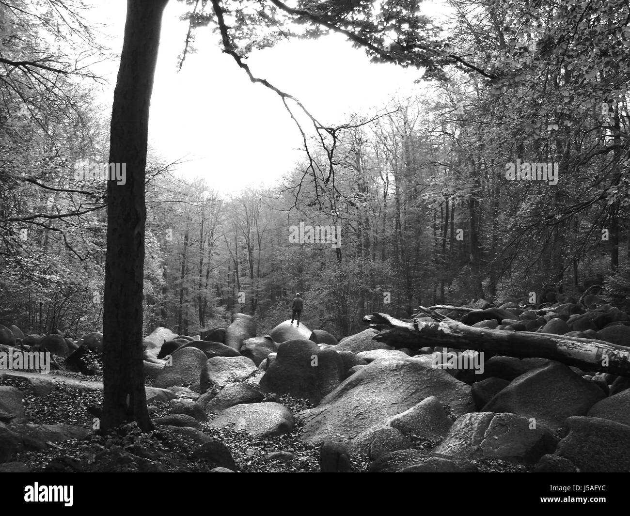 Guide to death hi-res stock photography and images - Alamy