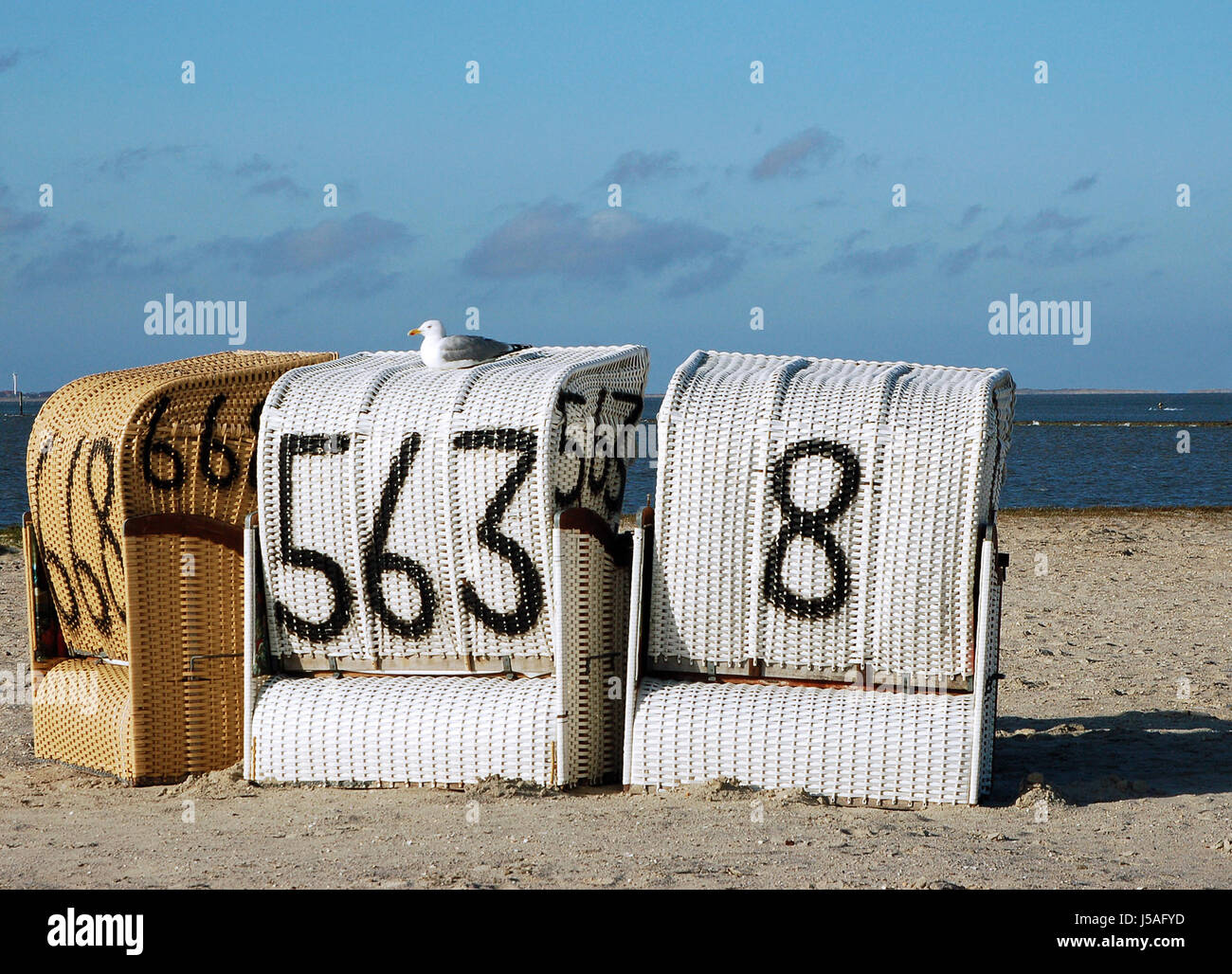 beach seaside the beach seashore water north sea salt water sea ocean ...