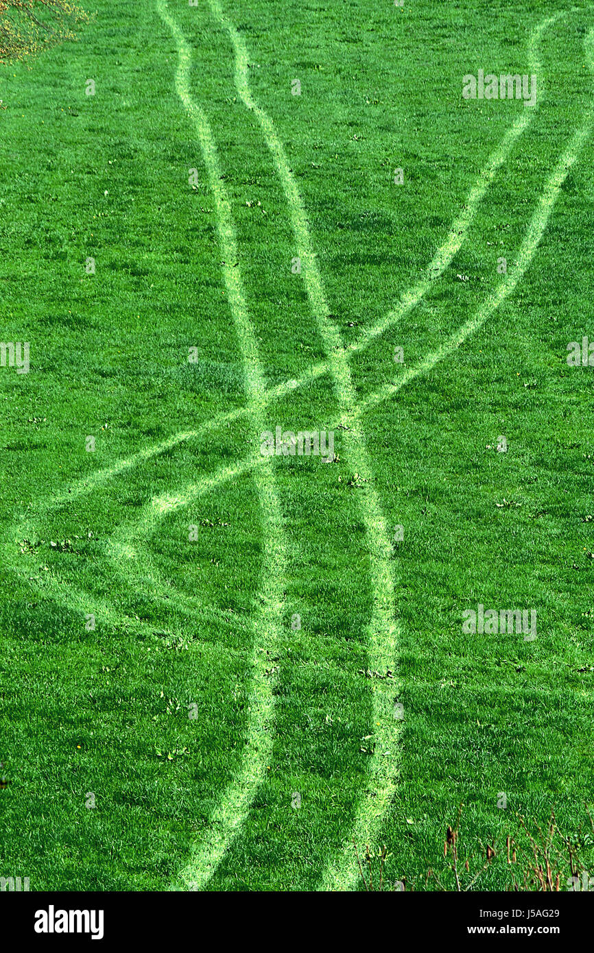 green agriculture farming sense ruts meadow grass lawn tire tracks ...