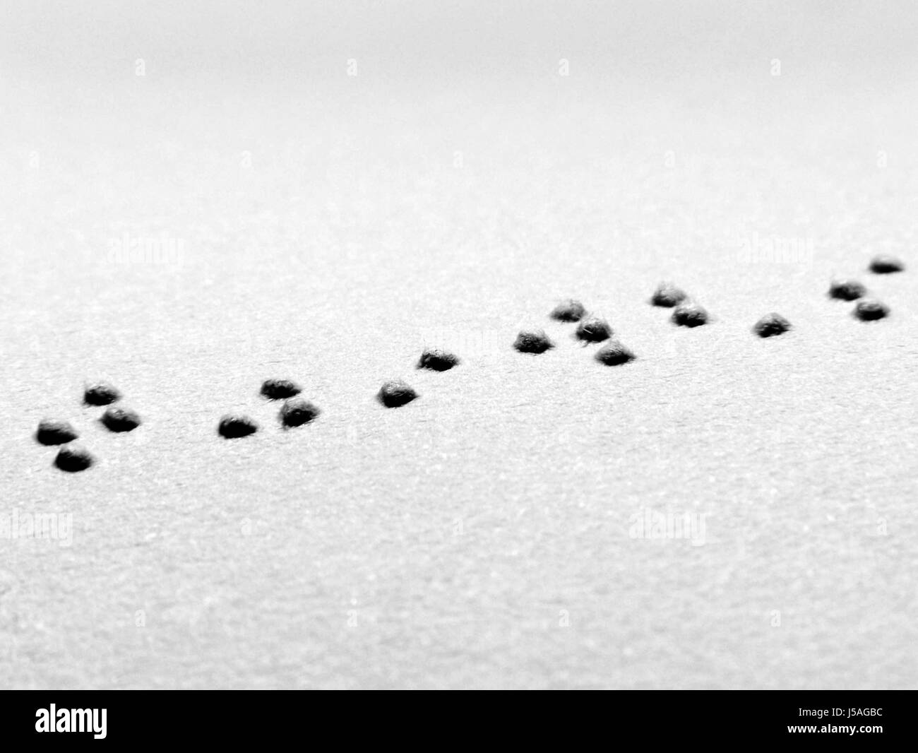 feel look glancing see view looking peeking looking at writing font ...