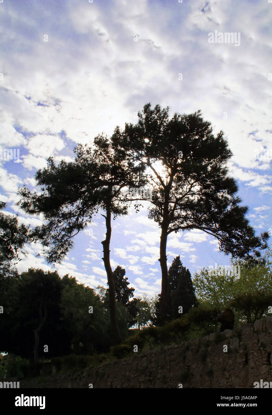 against the light Stock Photo - Alamy