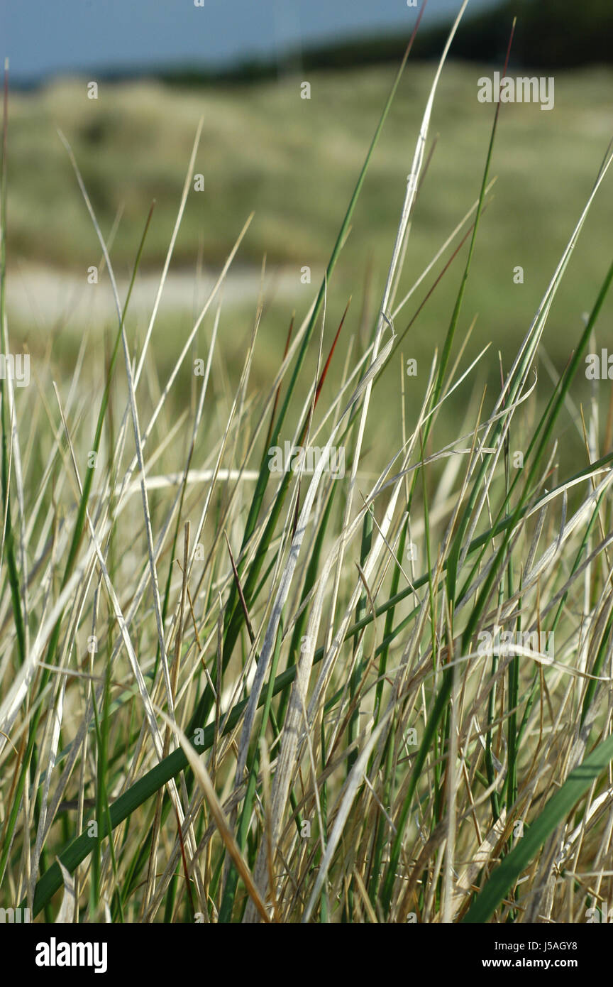 holiday vacation holidays vacations green beach seaside the beach ...