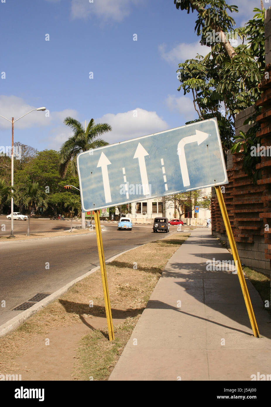 sign signal blue tree trees traffic transportation summer summerly car ...