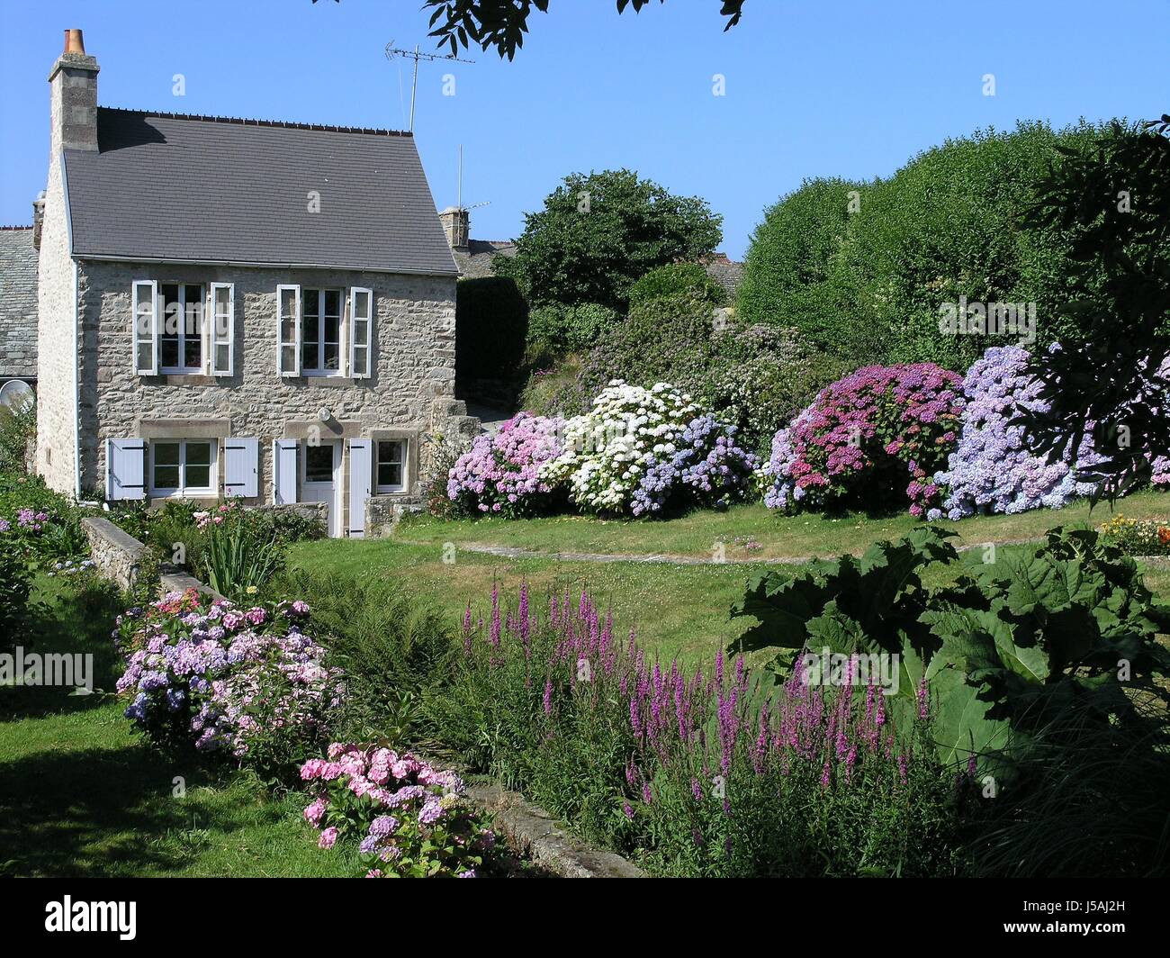 blue house building garden green bloom blossom flourish flourishing ...