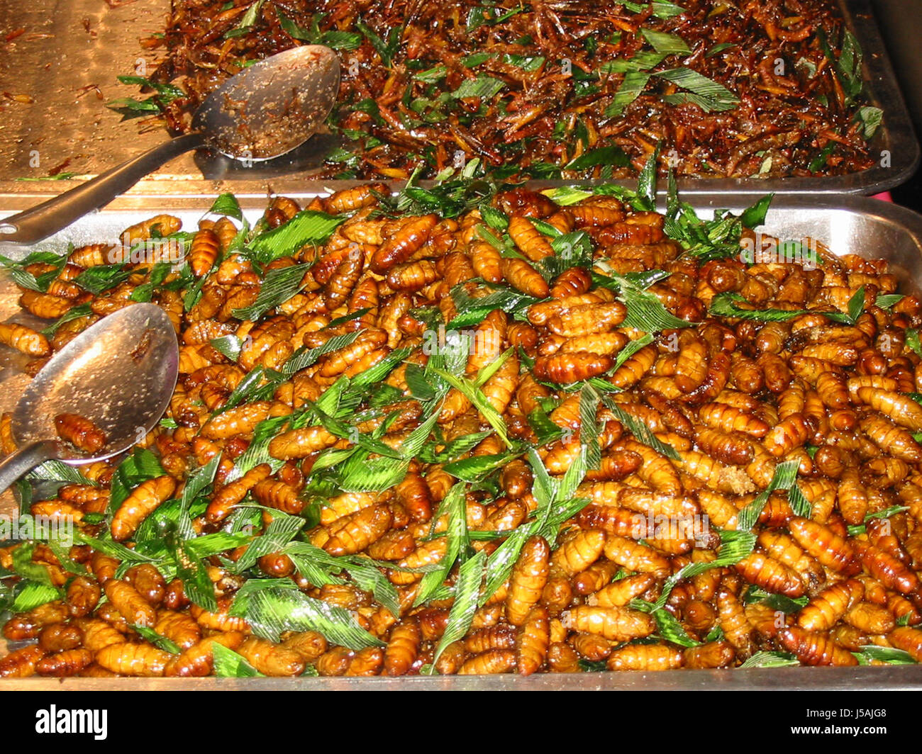thailand kitchen cuisine dainty grilled speciality maggots disgust ...