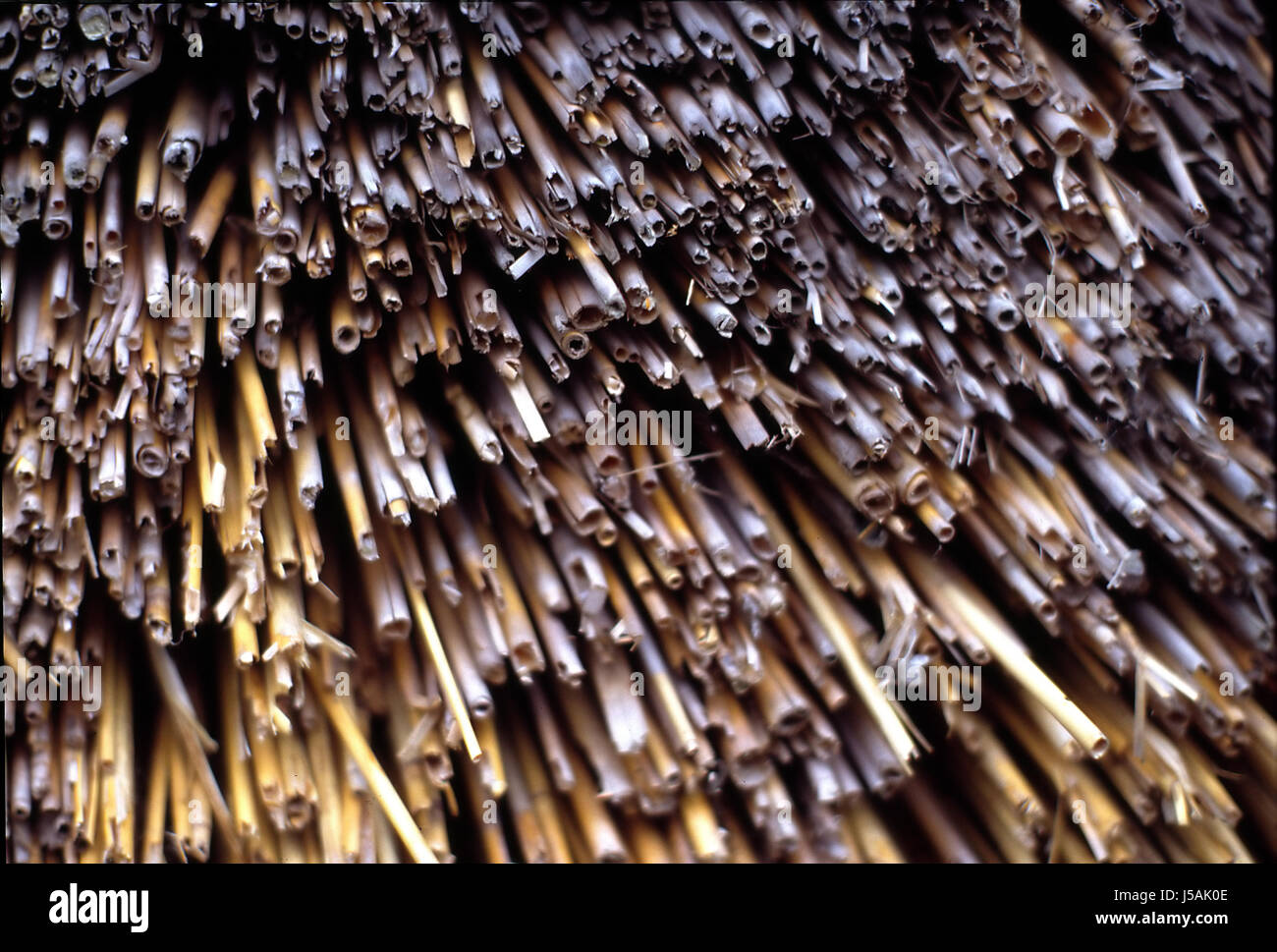 Reeddach hi-res stock photography and images - Alamy