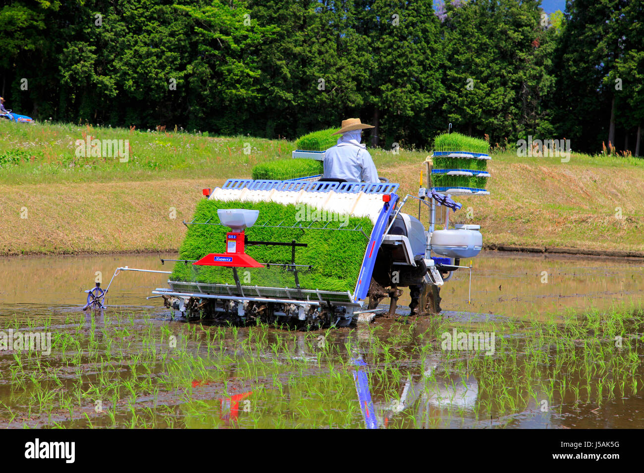 A Farmer Drives Rice Transplanter in Oyama-cho Shizuoka Japan Stock ...