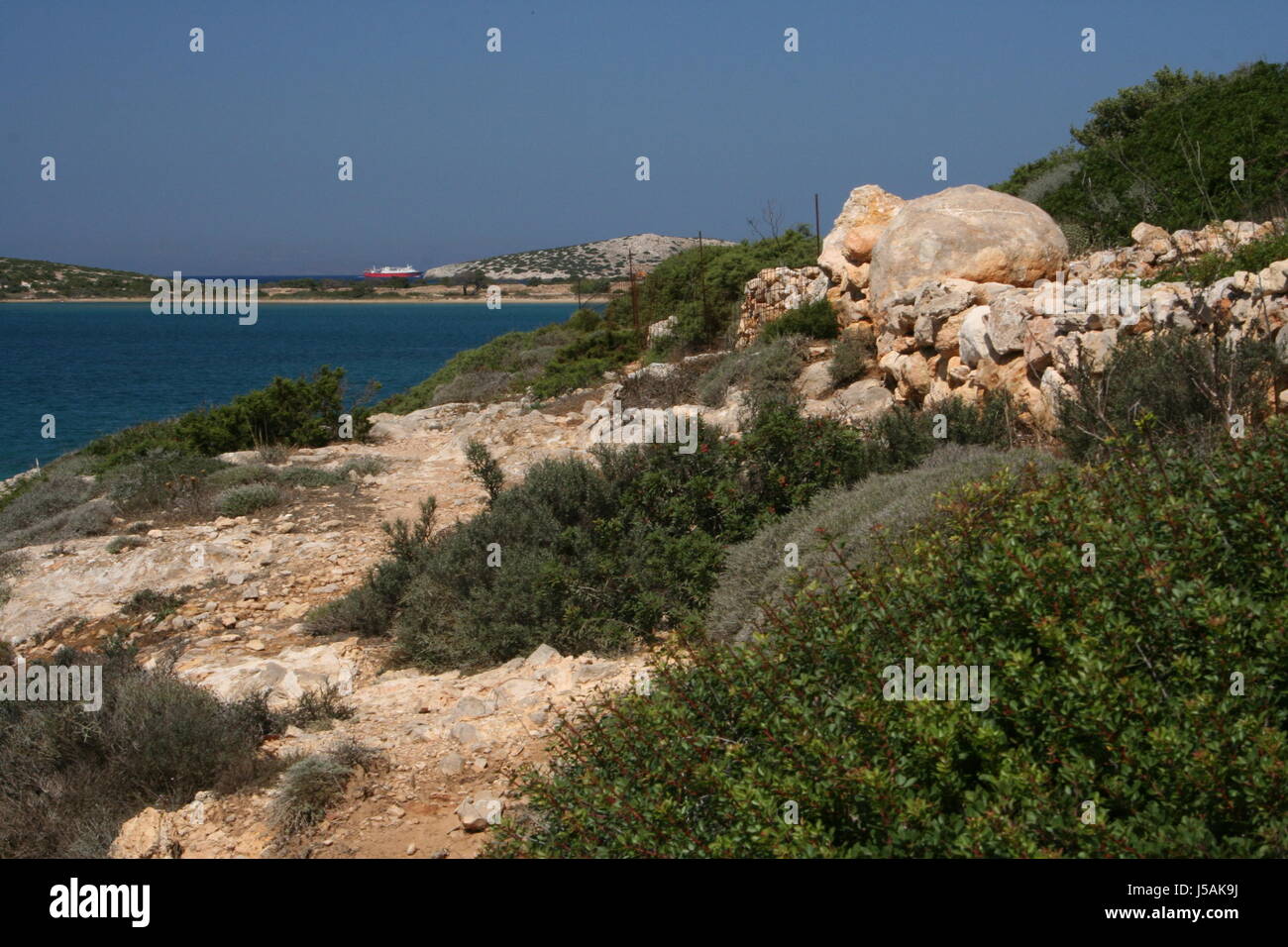 blue plant greece beach seaside the beach seashore bushes rock dry ...
