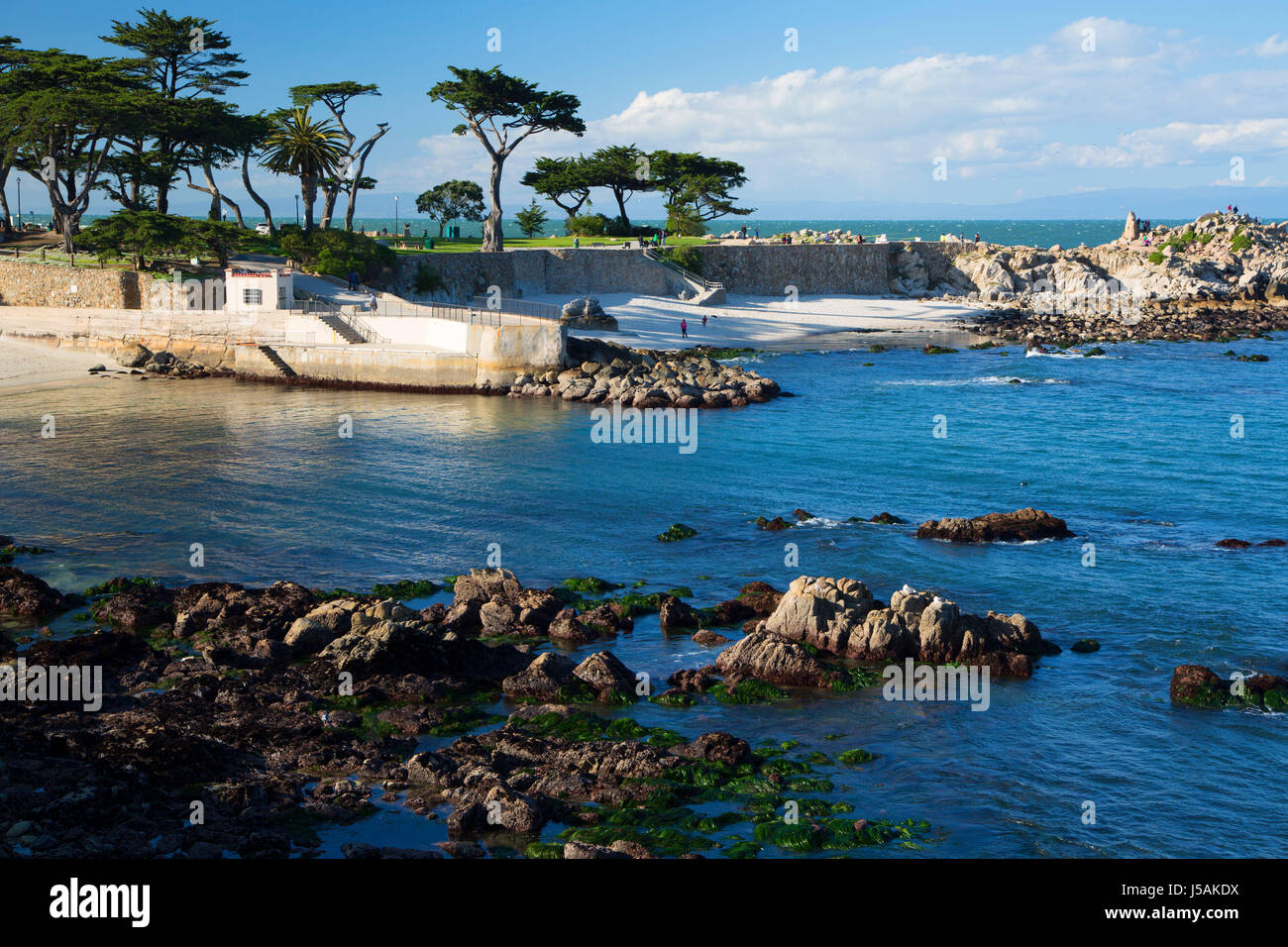 Rocky coast, Lovers Point Park, Monterey, California Stock Photo - Alamy