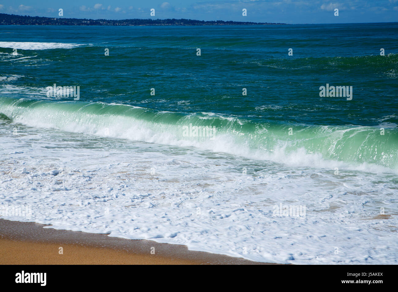 Beach, Fort Ord Dunes State Park, Seaside, California Stock Photo - Alamy