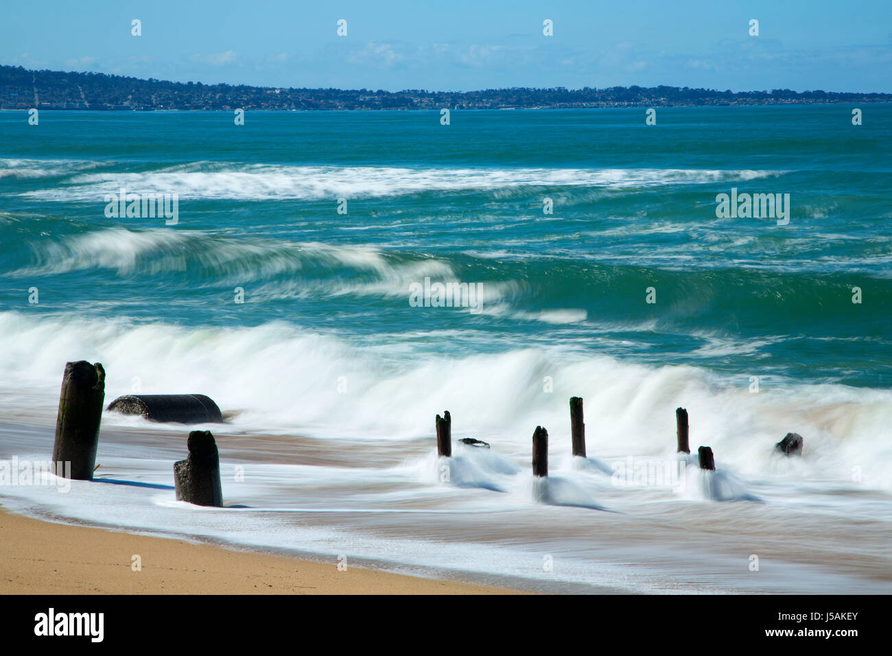 Pilings on beach, Fort Ord Dunes State Park, Seaside, California Stock ...