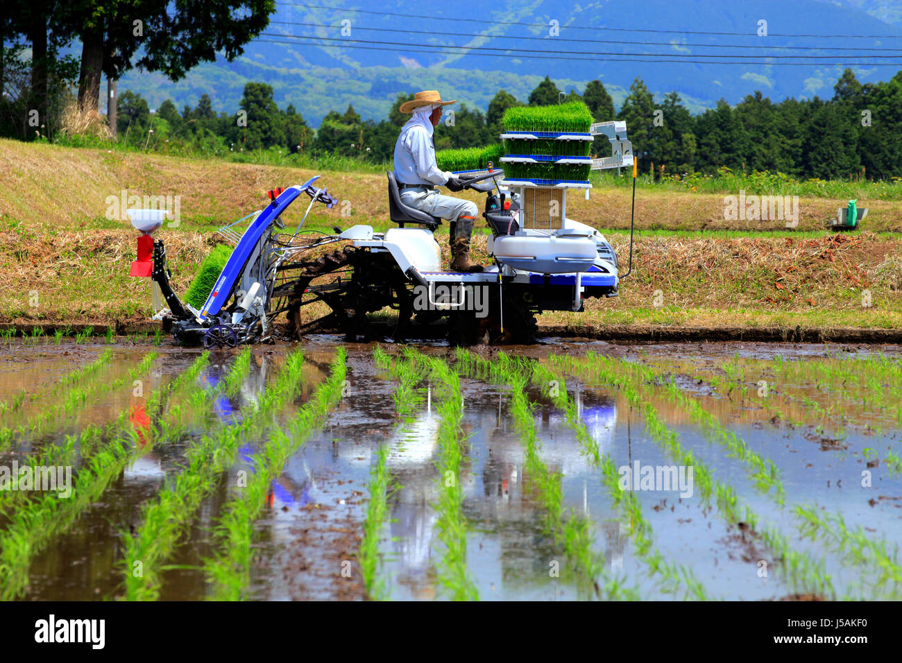 A Farmer Drives Rice Transplanter in Oyama-cho Shizuoka Japan Stock ...