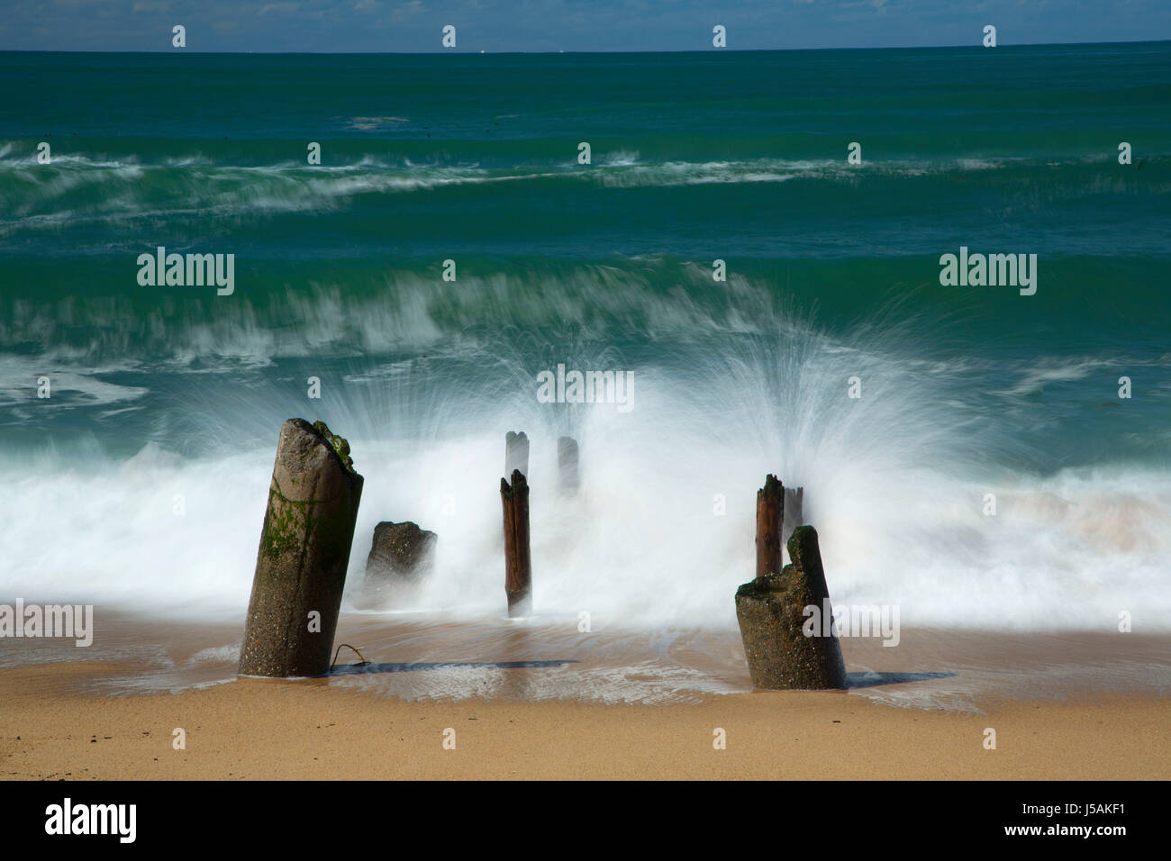 Pilings on beach, Fort Ord Dunes State Park, Seaside, California Stock ...