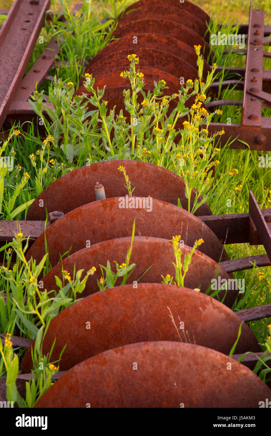 Disk at Traver Ranch, Carrizo Plain National Monument, California Stock ...