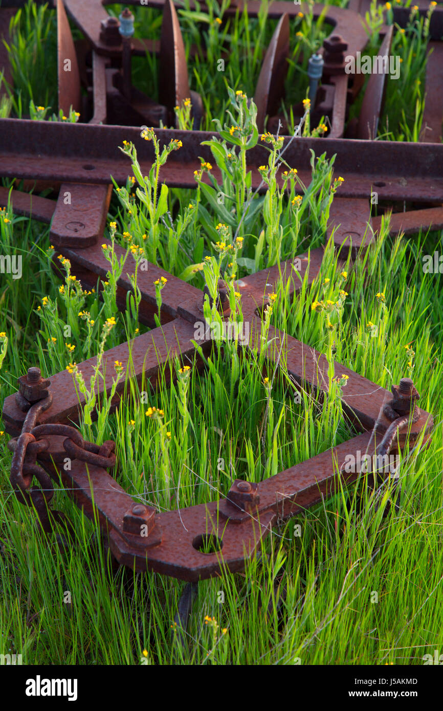 Light disk at Traver Ranch, Carrizo Plain National Monument, California ...