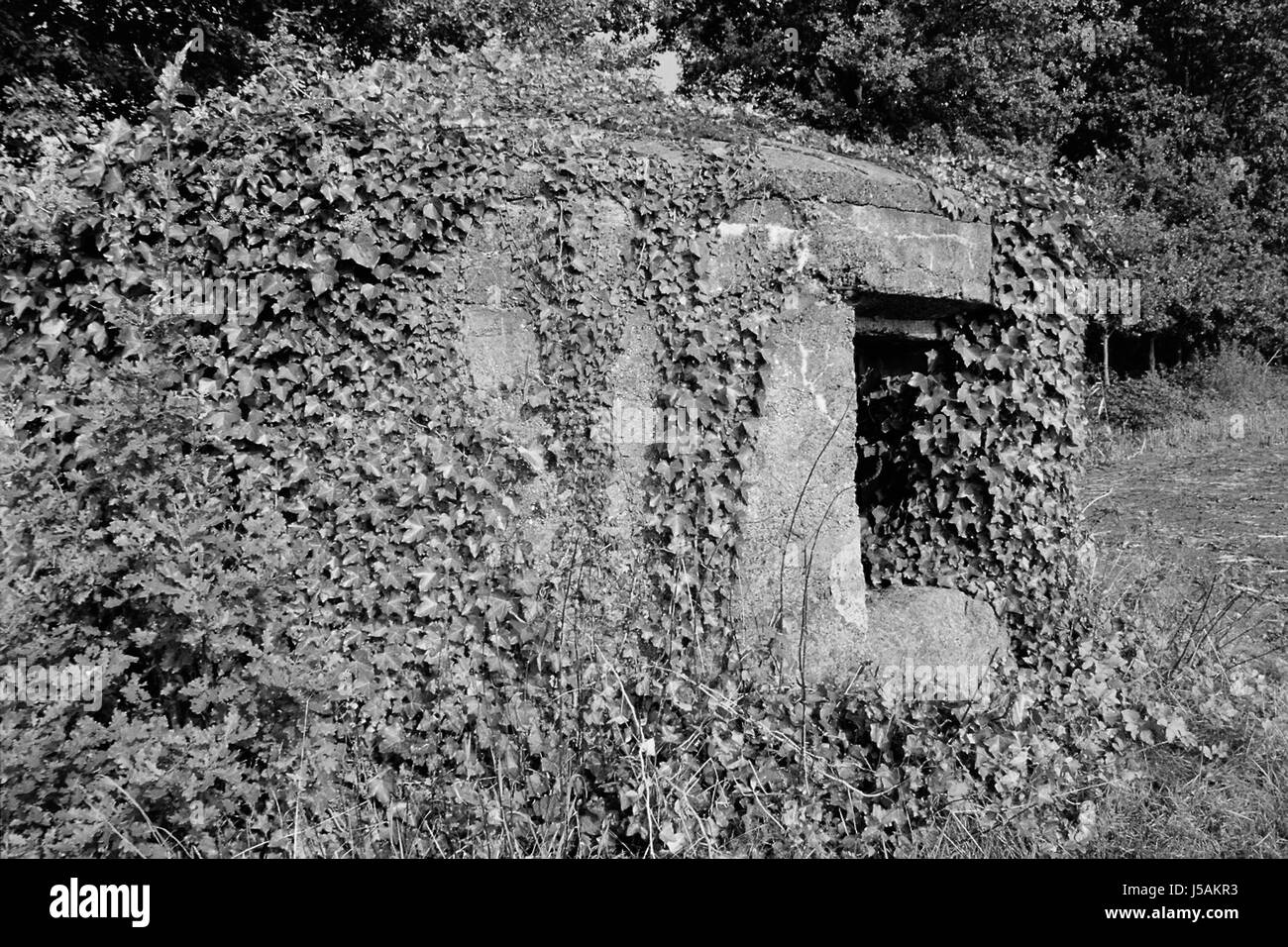 Bunker plant Black and White Stock Photos & Images - Alamy