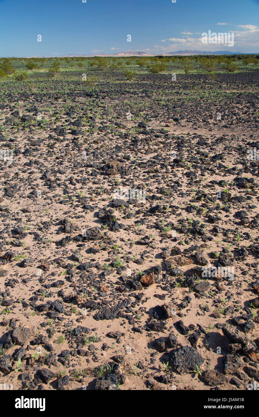 Amboy crater volcano desert hi-res stock photography and images - Alamy