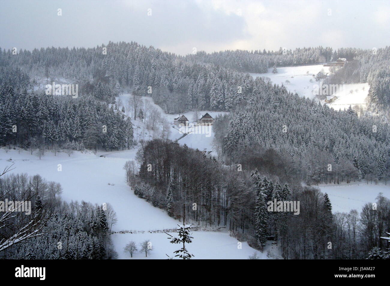 winter firs winter landscape black forest snow mountain scenery ...