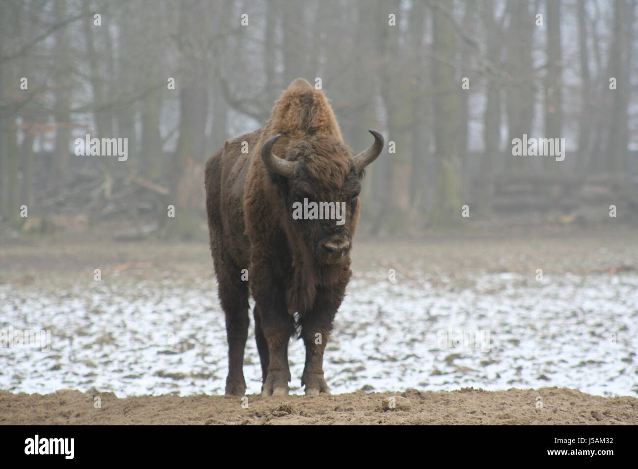 Important imposing hi-res stock photography and images - Alamy