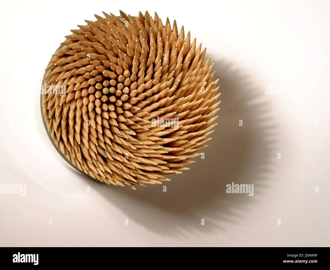 wood teeth small tiny little short toothpick complete perfect many ...