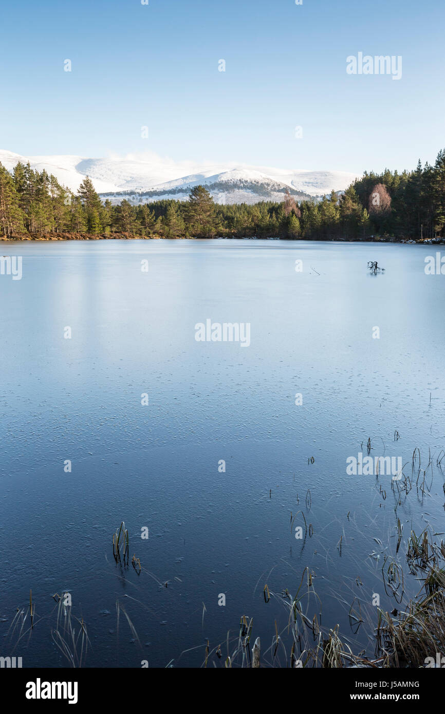 Uath Lochan and Cairngorms in winter at Glen Feshie in Scotland Stock ...
