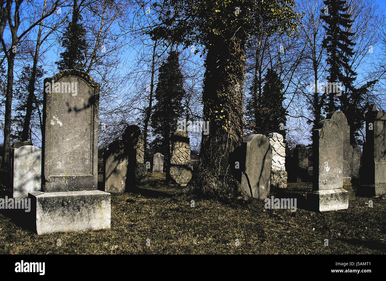 death tree trees stone cemetery graves moss tombstones globe planet ...