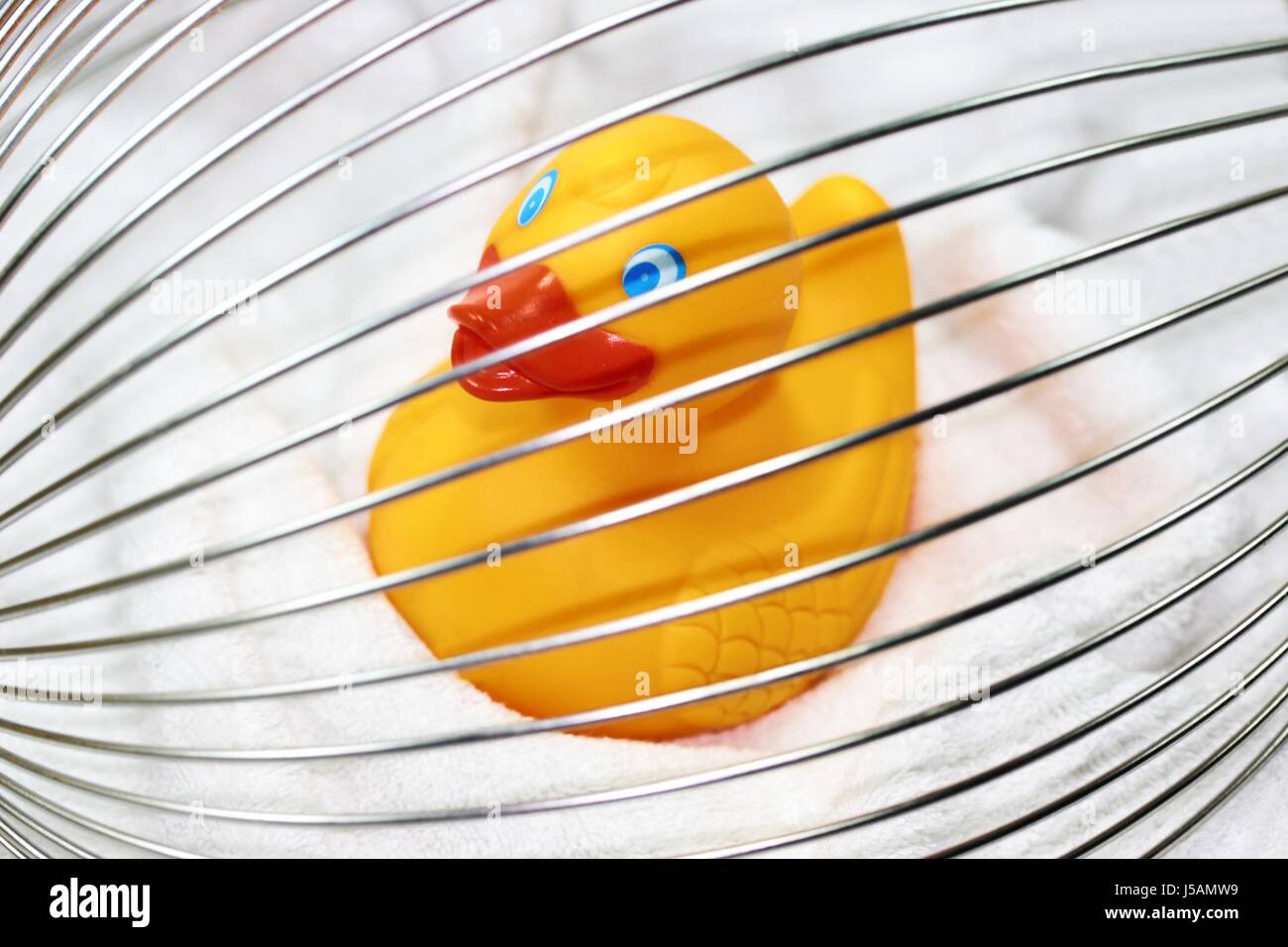 provision beak duck bird flu cage duckling put in prison beaks flu ...