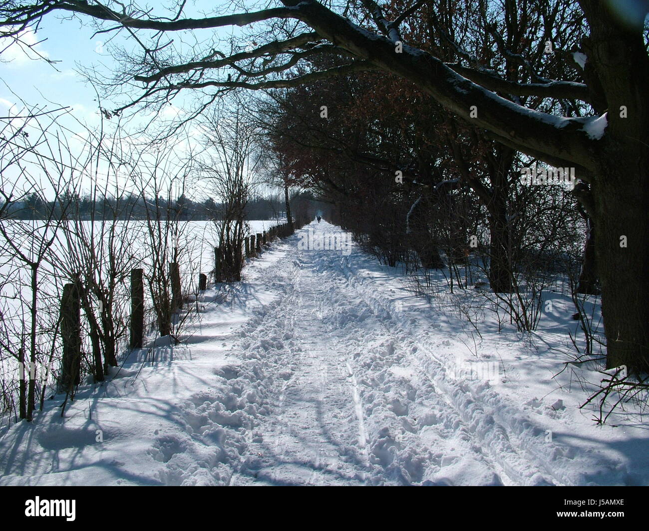 winter cold depth depths bushes fence fields long path way snow forest ...