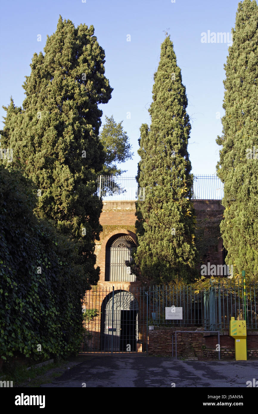 story monument antique Rome roma decay ruin cypresses italy domus aurea ...