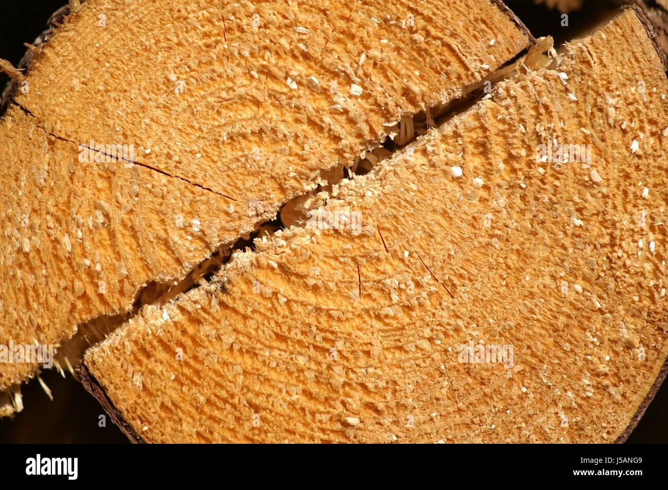 Fire Woodcut Stock Photos & Fire Woodcut Stock Images - Alamy
